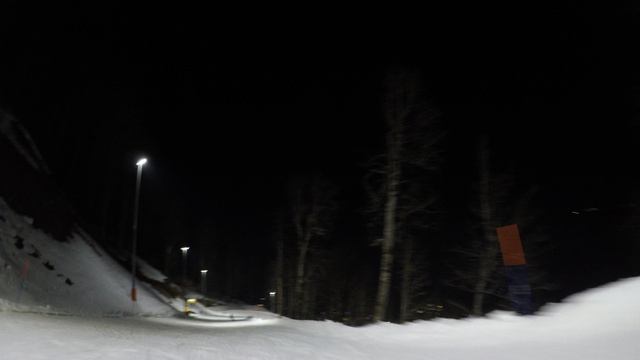 2024-03-03. Сочи. Красная поляна. Вечернее катание. Реликтовый лес (синяя)