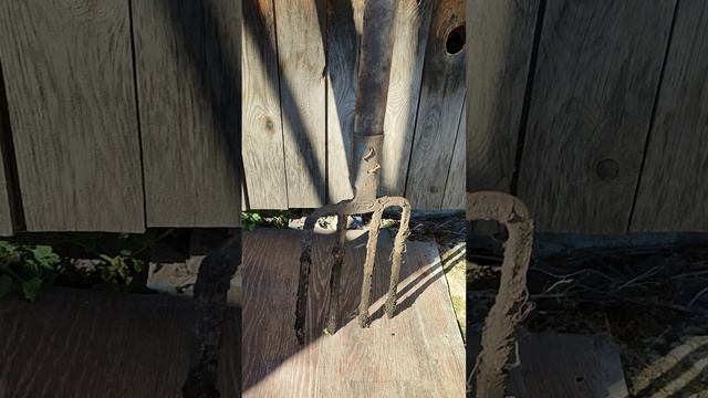 Новые вилы тётушки Ирины