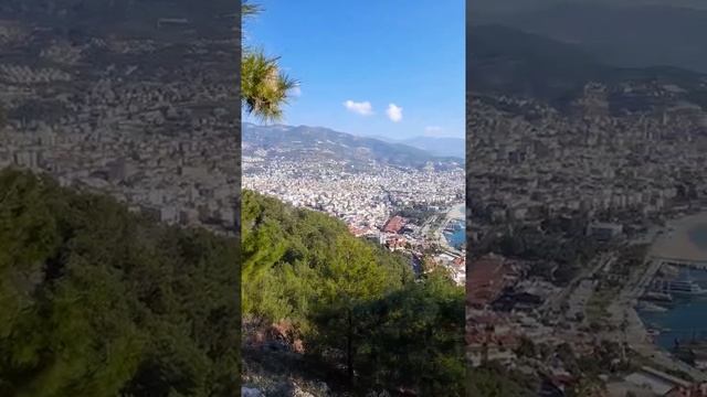 Город с ладони