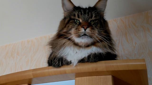 Здравствуйте, товарищи!