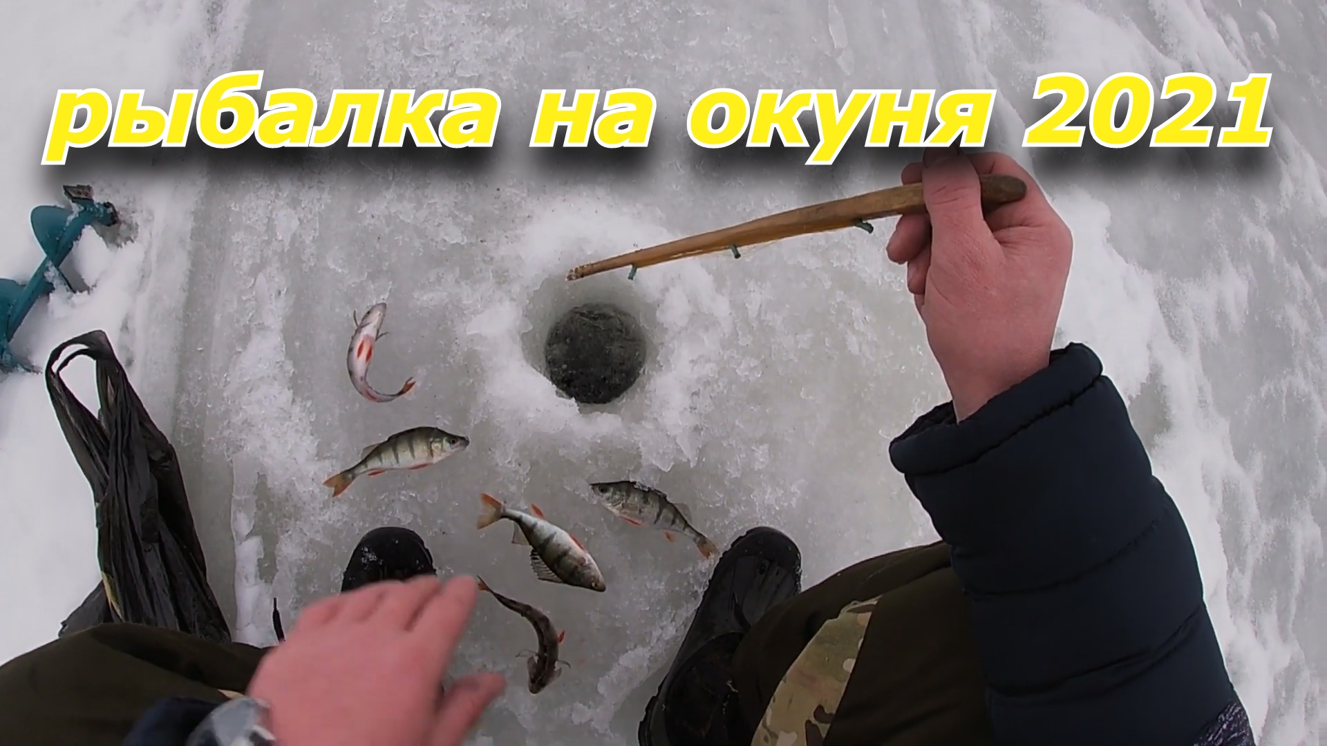 Ловля окуня на блесну зимой