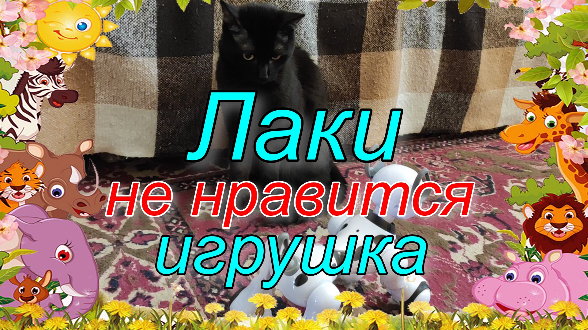 Лаки не нравится игрушка