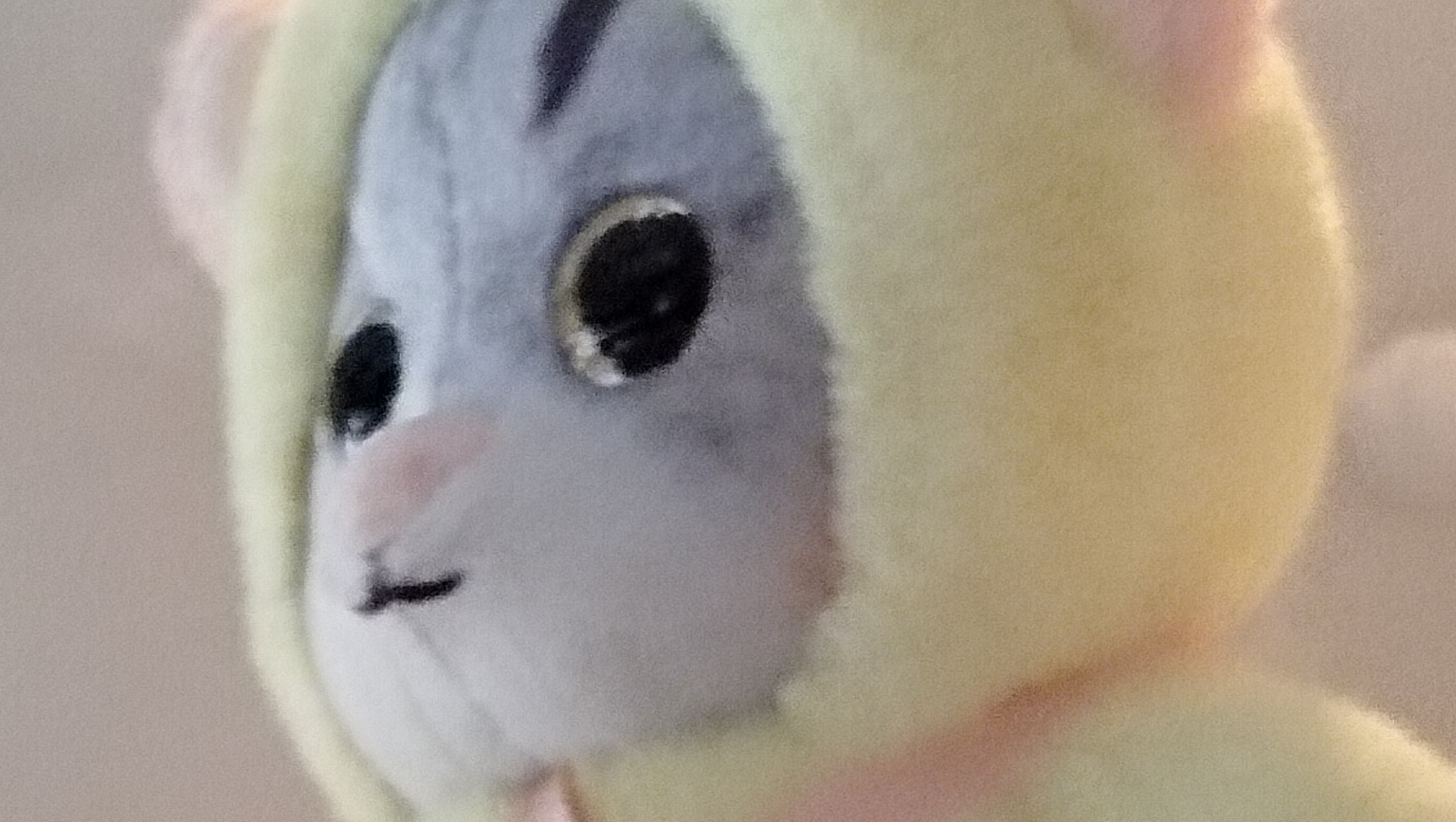 Я же мягкую котика