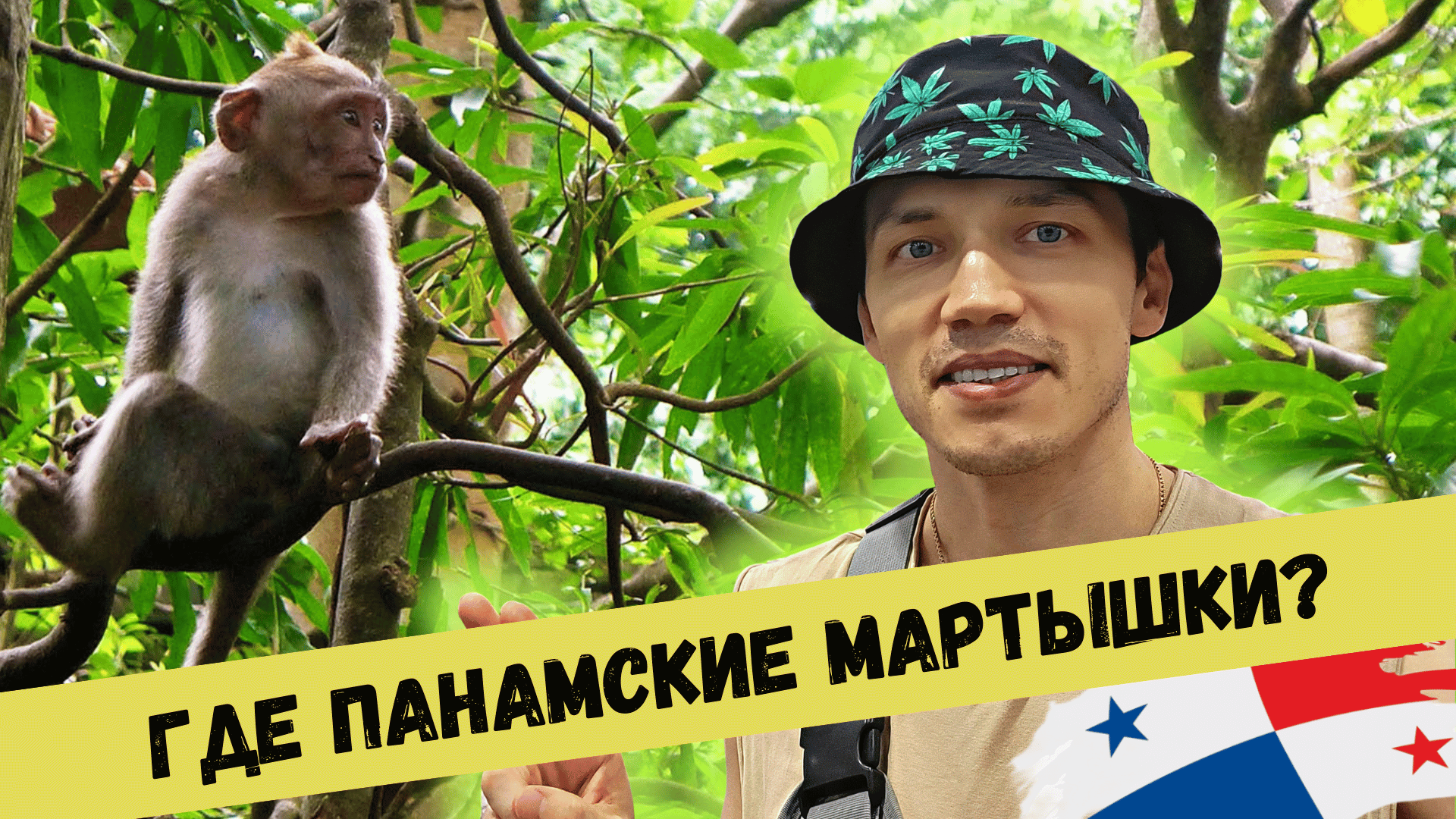 ? Походы в ДЖУНГЛИ ПАНАМА СИТИ. Прогулка в заповеднике Metropolitan Natural Park Центральная Америк