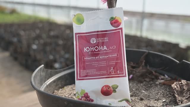 Комплексное действие против сорняков и вредителей на даче