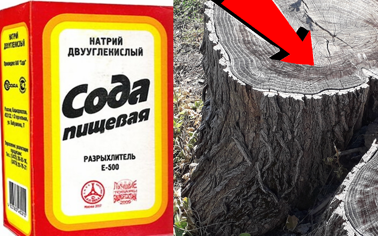 Как быстро избавиться от пня За 3 Секунды!!!.