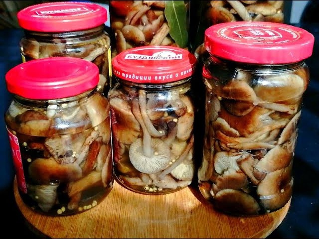 Маринованные ОПЯТА на зиму -  Простой рецепт маринованных ОПЯТ в банках -  Как мариновать опята
