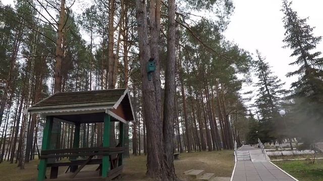 Санаторий Приднепровский.Территория,обзор номера