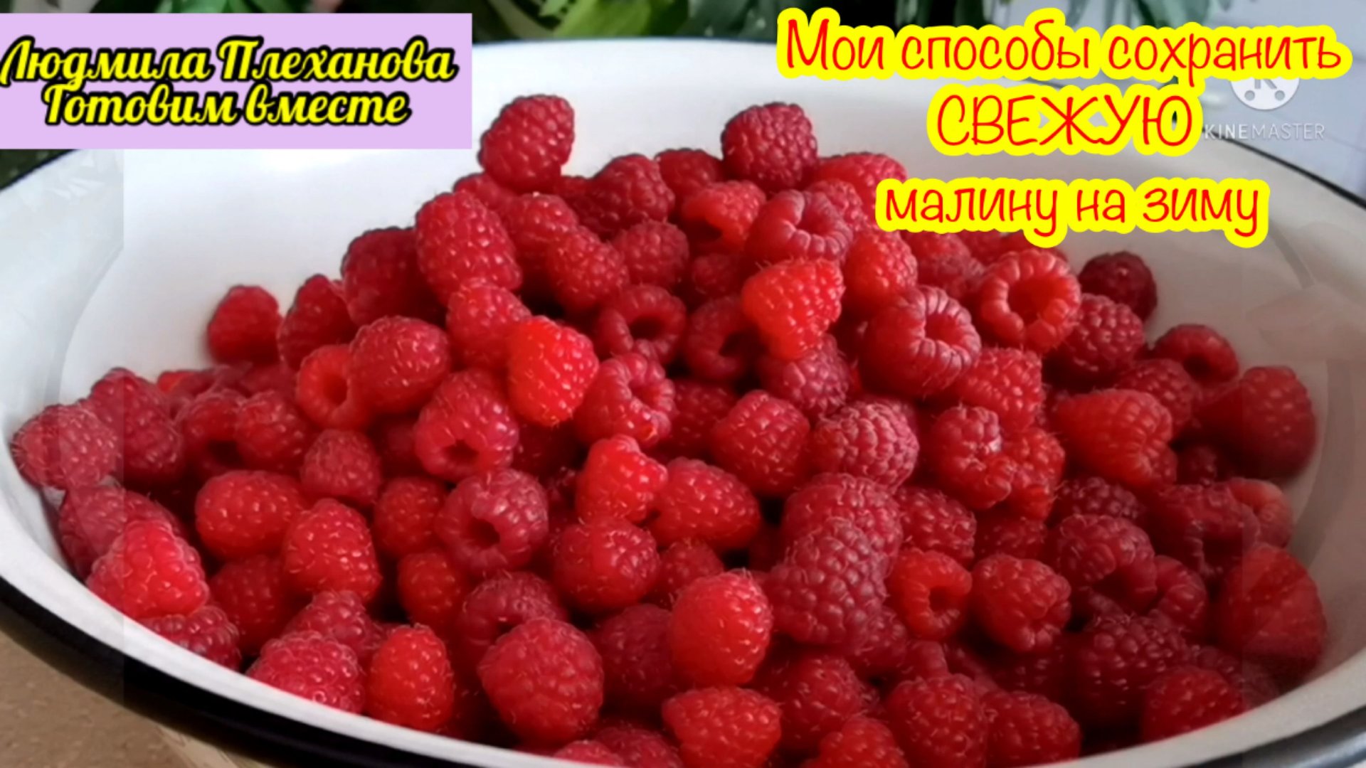 Как заготовить малину на зиму чтобы сохранились все её полезные свойства