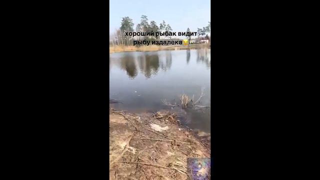 Карась сам в шоке. #Shorts