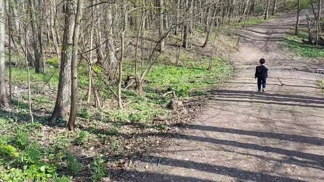 Парк Ленинские горки