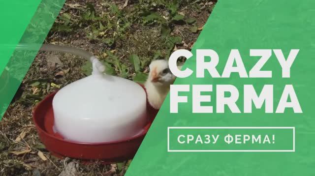 Новинка! Наборы автопоилок для молодняка птиц. Лучшая поилка для цыплят, кур, бройлеров, перепелов.