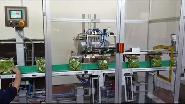 Этикетировочная система для пакетов с салатом-(320p25).mp4