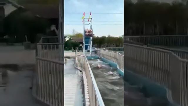 Хрюндельки