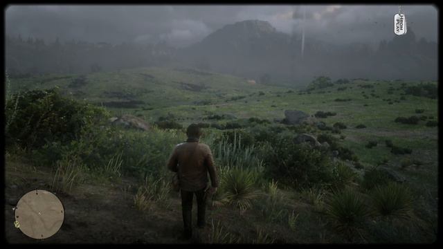 Прохождение Red Dead Redemption 2 часть 11 (Глава 2)