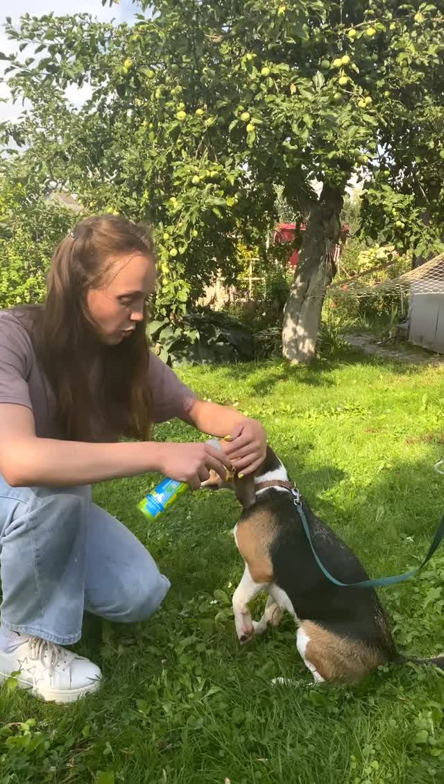 Спрей дезодорирующий