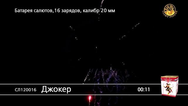 СЛ120016 Джокер