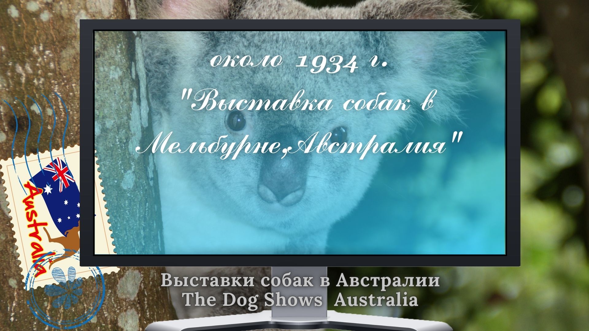 около 1934 г."Выставка собак в Мельбурне, Австралия"