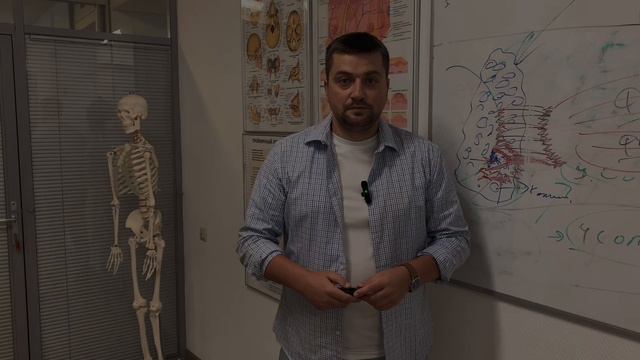 Введение в терапию верхних конечностей. Павел Коломиец. Приглашение на семинар.