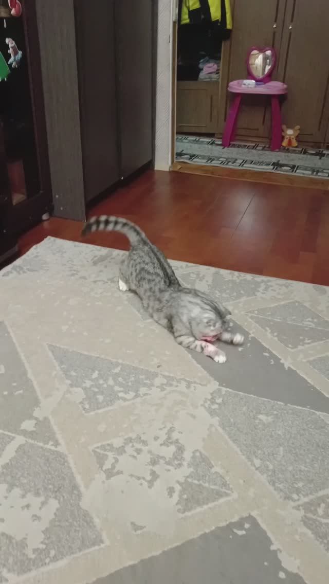 Дикий парень - ты что устал!?