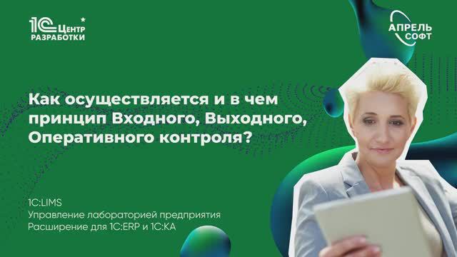 Как осуществляется принцип входного, выходного, оперативного контроля?
