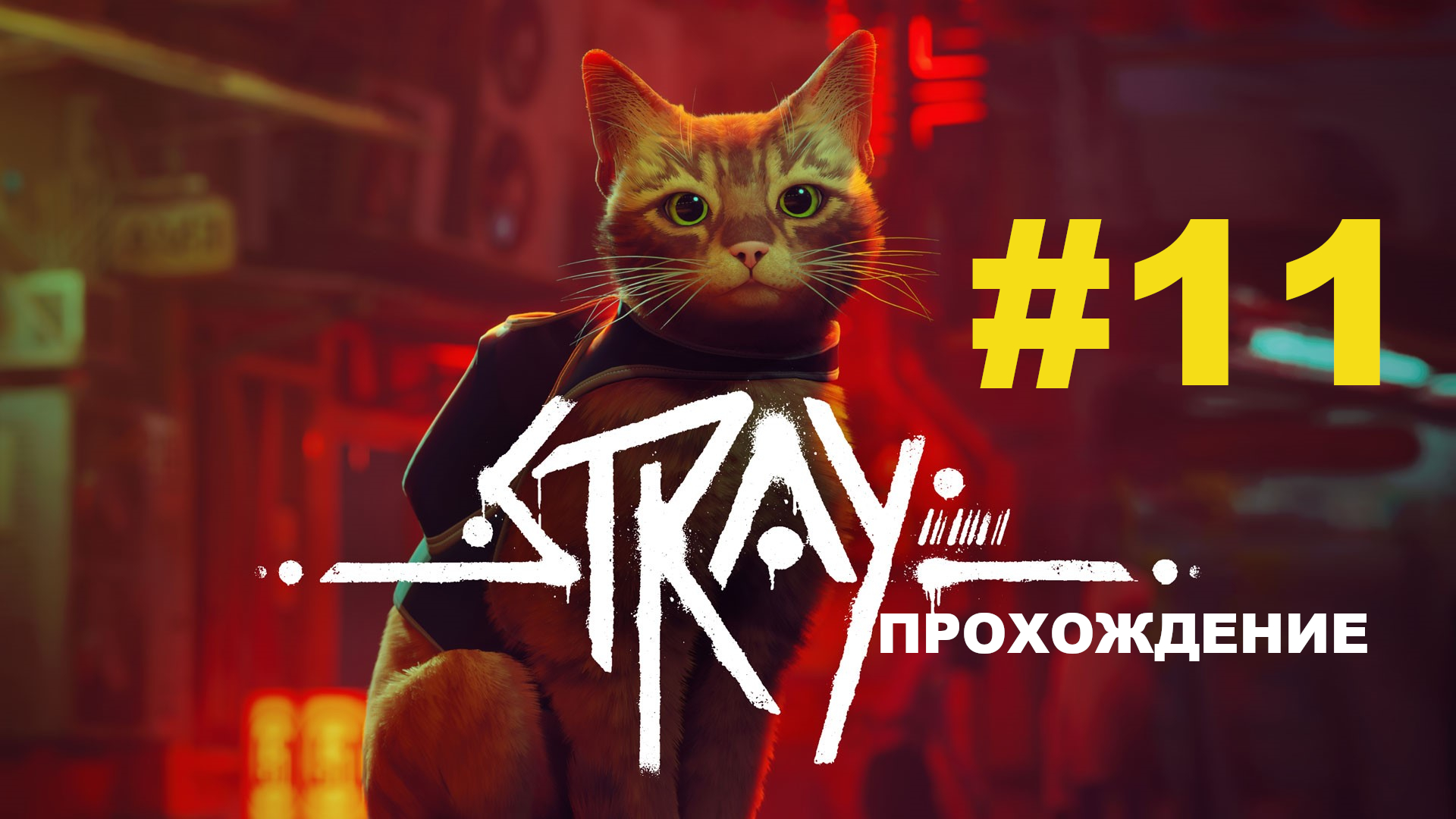 Stray | Клементина опять пропала / Клуб | Прохождение #11