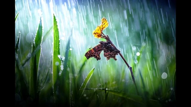 Библия. 47-02. Книга пророка Софонии (02). И говорит Господь...