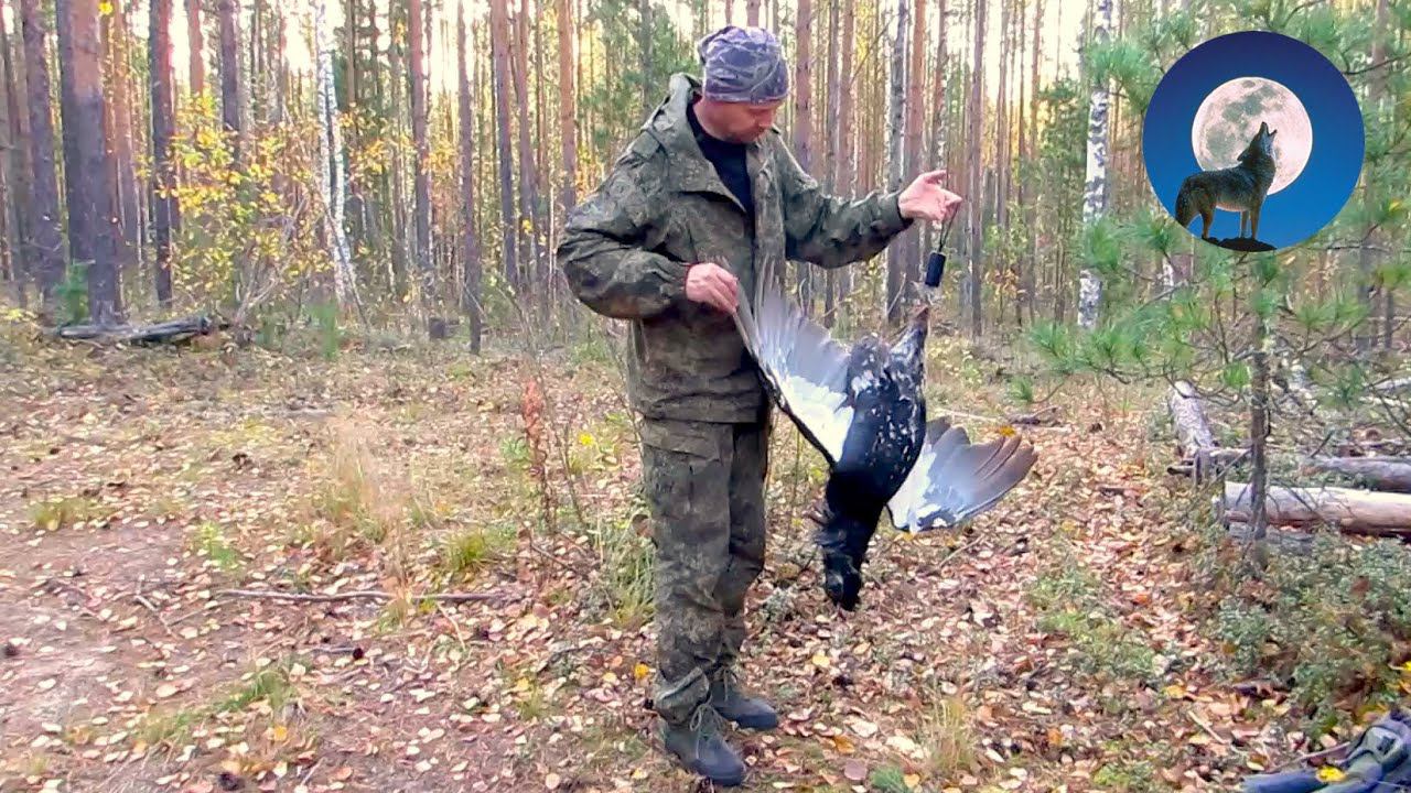 ОХОТА НА ГЛУХАРЯ С МЕЛКАШКОЙ