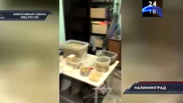 В Калининграде полицейские изъяли из незаконного оборота более 15 тонн янтаря