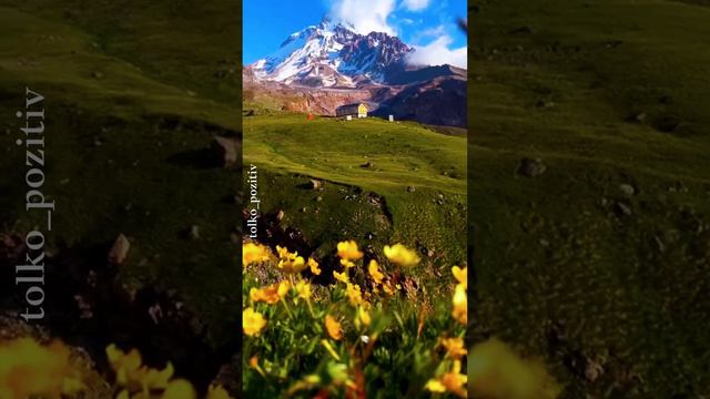 Мой дом Россия!