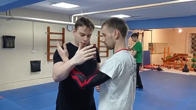 Wing Chun. Механика защиты в чи сао.