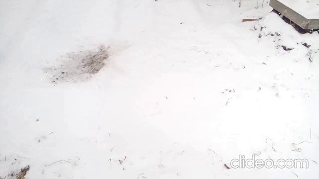 Этот день ТРИ года назад.10 ноября 2018 года