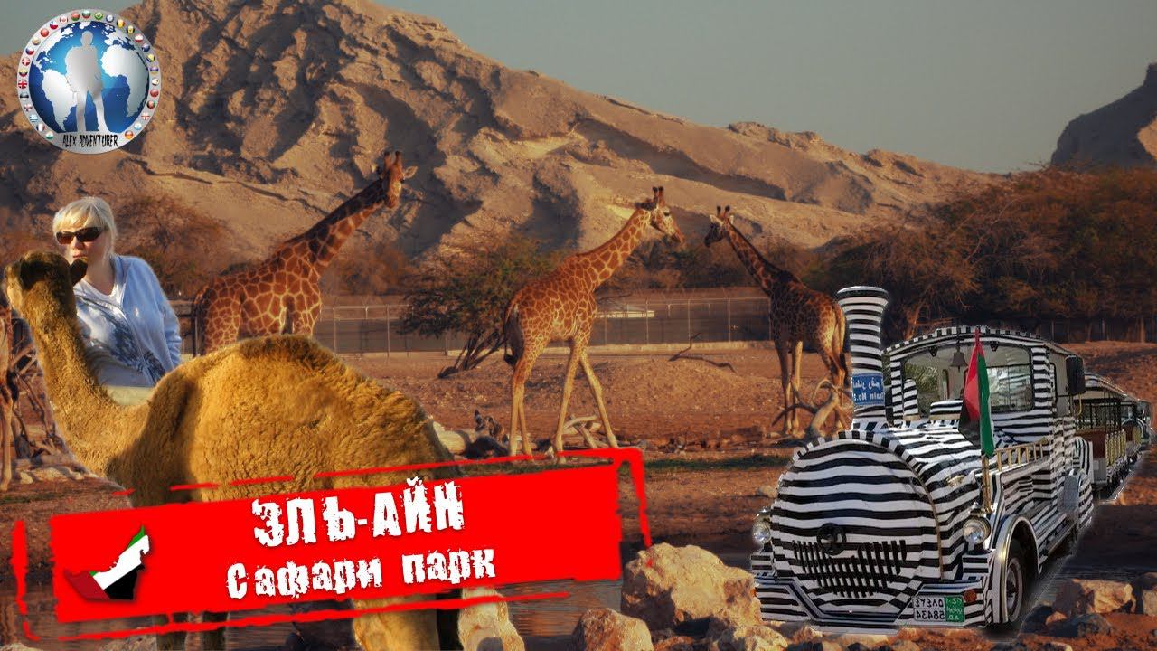 Эль-Айн 🇦🇪 ОАЭ. Зоопарк. Лучше один раз увидеть 💯Алекс Авантюрист