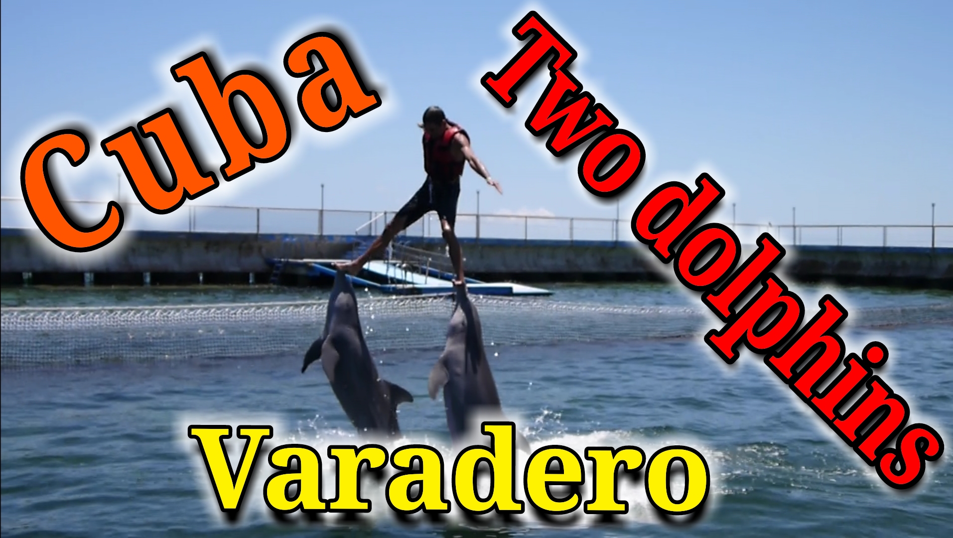 Куба, Варадеро, купание с дельфинами.