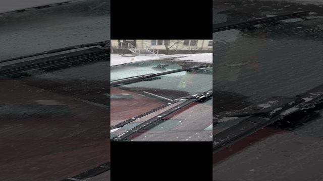 Польза сервисного режима поводков