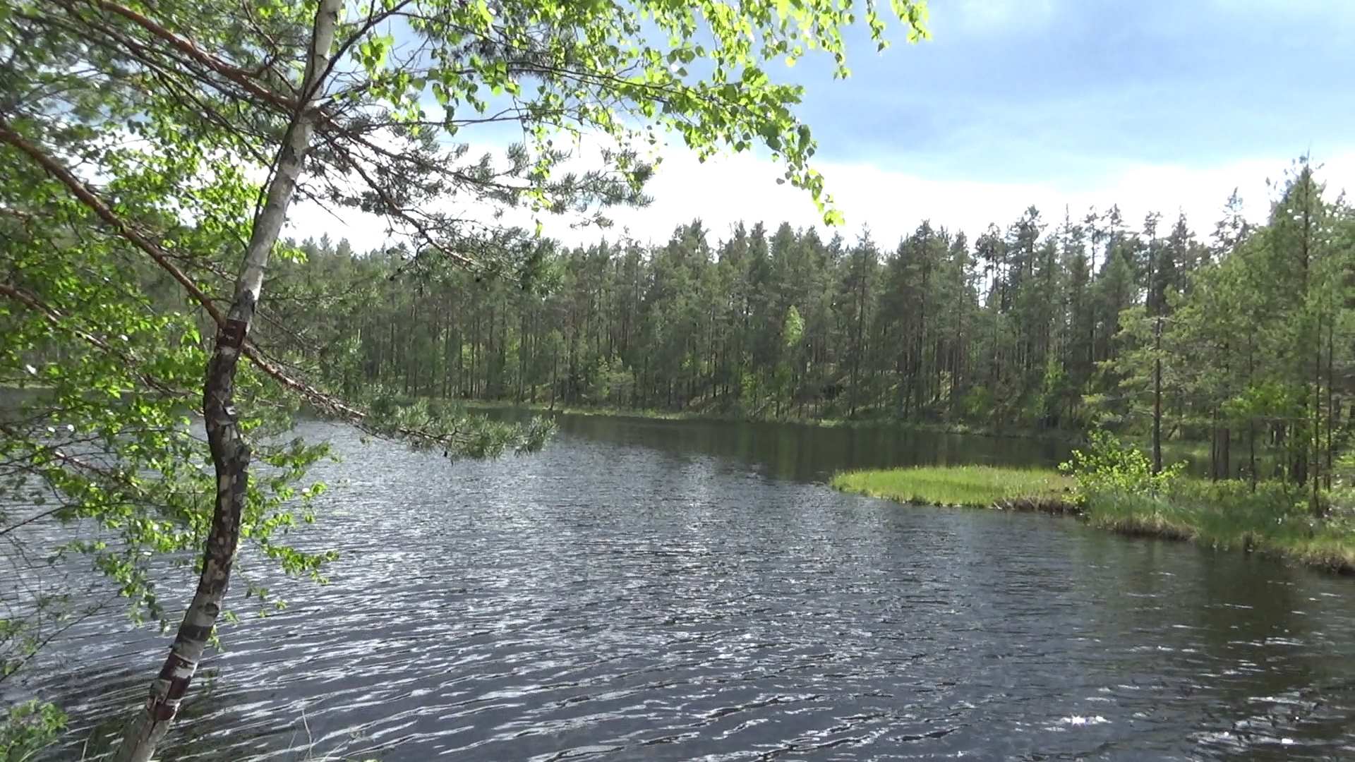 Выловлю и Высушу) \ Рыбалка \ Велопоход