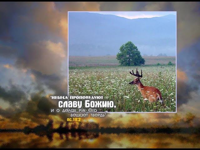 19.13 По страницам Библии - лекции доктора Мак Ги по книге Псалтирь