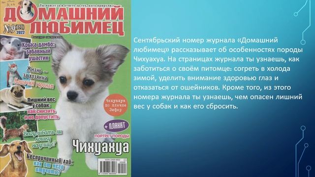 Журнальные новинки осени.wmv