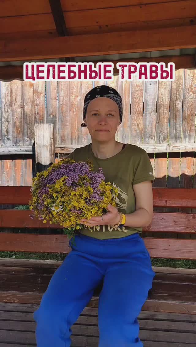 целебные травы