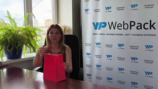 Крафт пакет с кручеными ручками, 220*120*250 (Ш*Г*В) мм (красный)