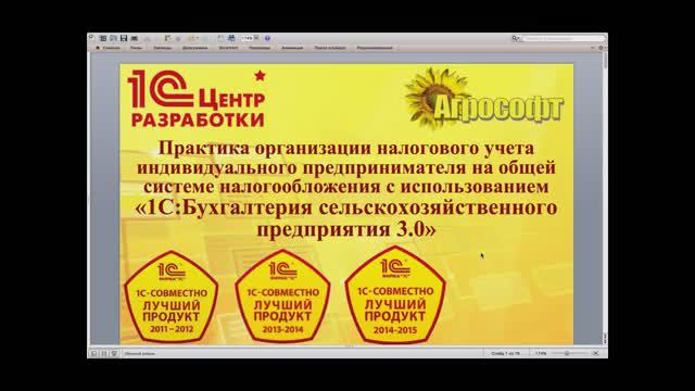 Практика организации налогового учета ИП на ОСН с использованием