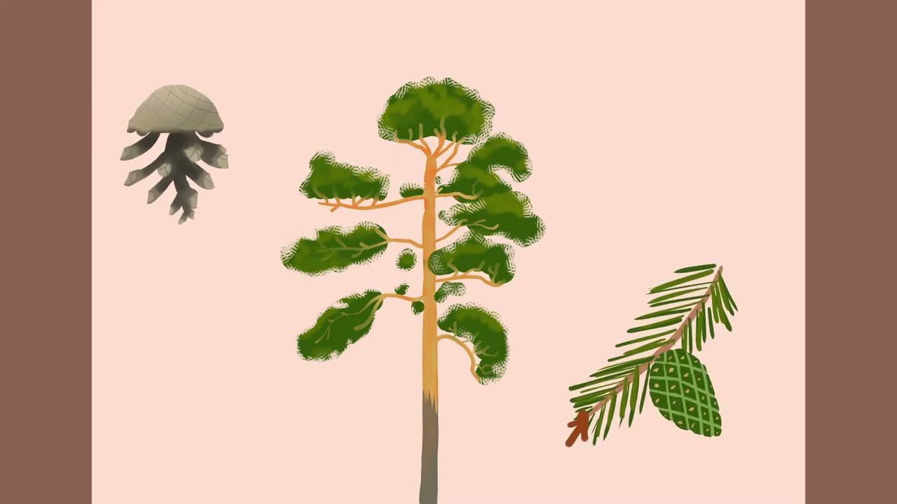 14 Модон хори