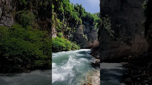 Дорога на озеро Рица * Абхазия #Shorts