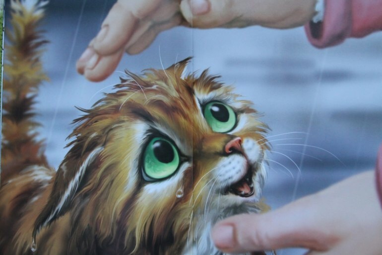 с юмором о котах и кошках . часть 4