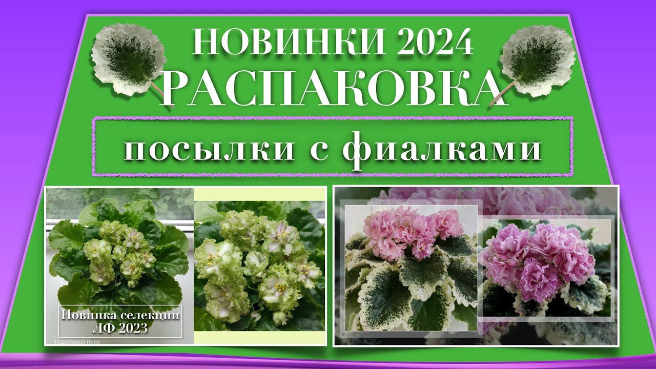 Чем пополнила коллекцию 2 раз в этом году | ЛФ-Авокадо | Новинки | Распаковка и болталка.