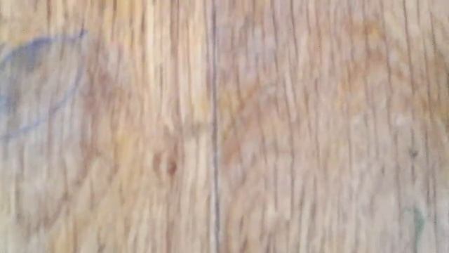 Форд фокус C-MAC стук в двс.mp4