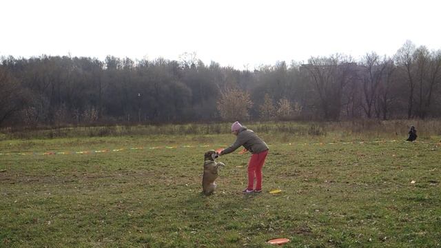 ВДНФ Ольга и Барс.mp4