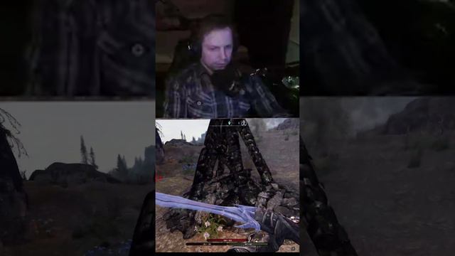 Надо #Skyrim RFAB , #Skyrim SE #Shorts , #приколы, #мем