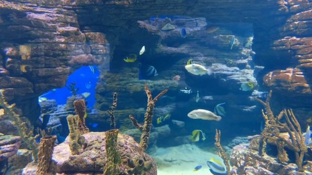 Музыка для сна, медитации, релаксации и восстановления сил