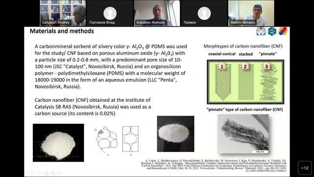 Влияние углеминерального сорбента с нановолокнами на эритроциты эритроцитарных концентратов in vitro